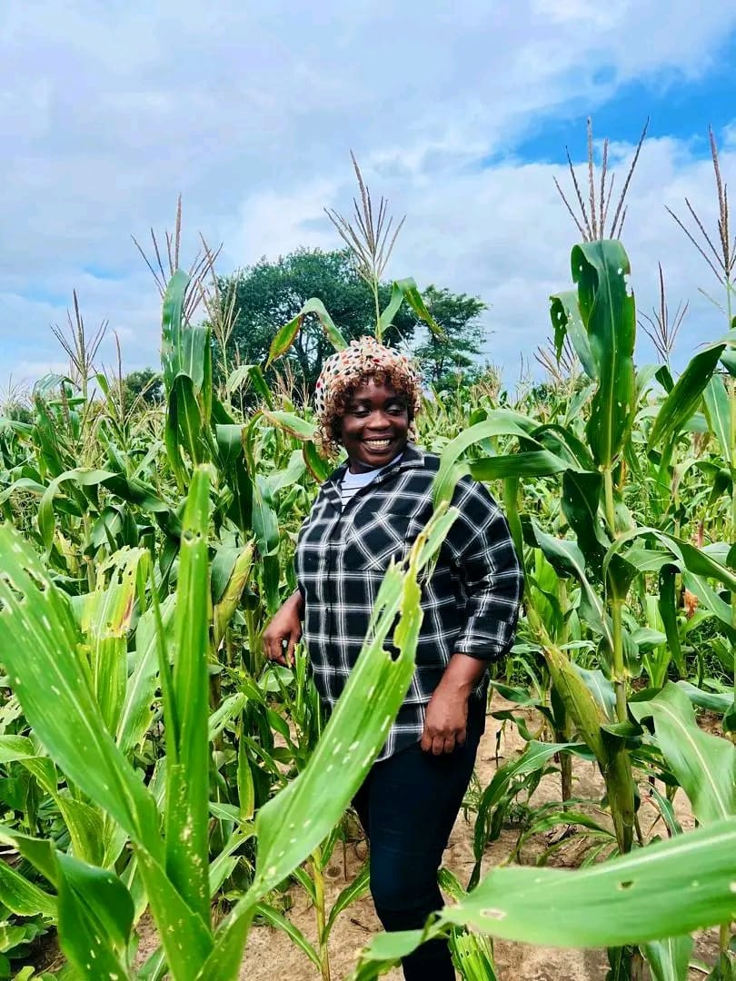 Kalasa pledges to transform Chilubi district's agriculture sector - ZED ...
